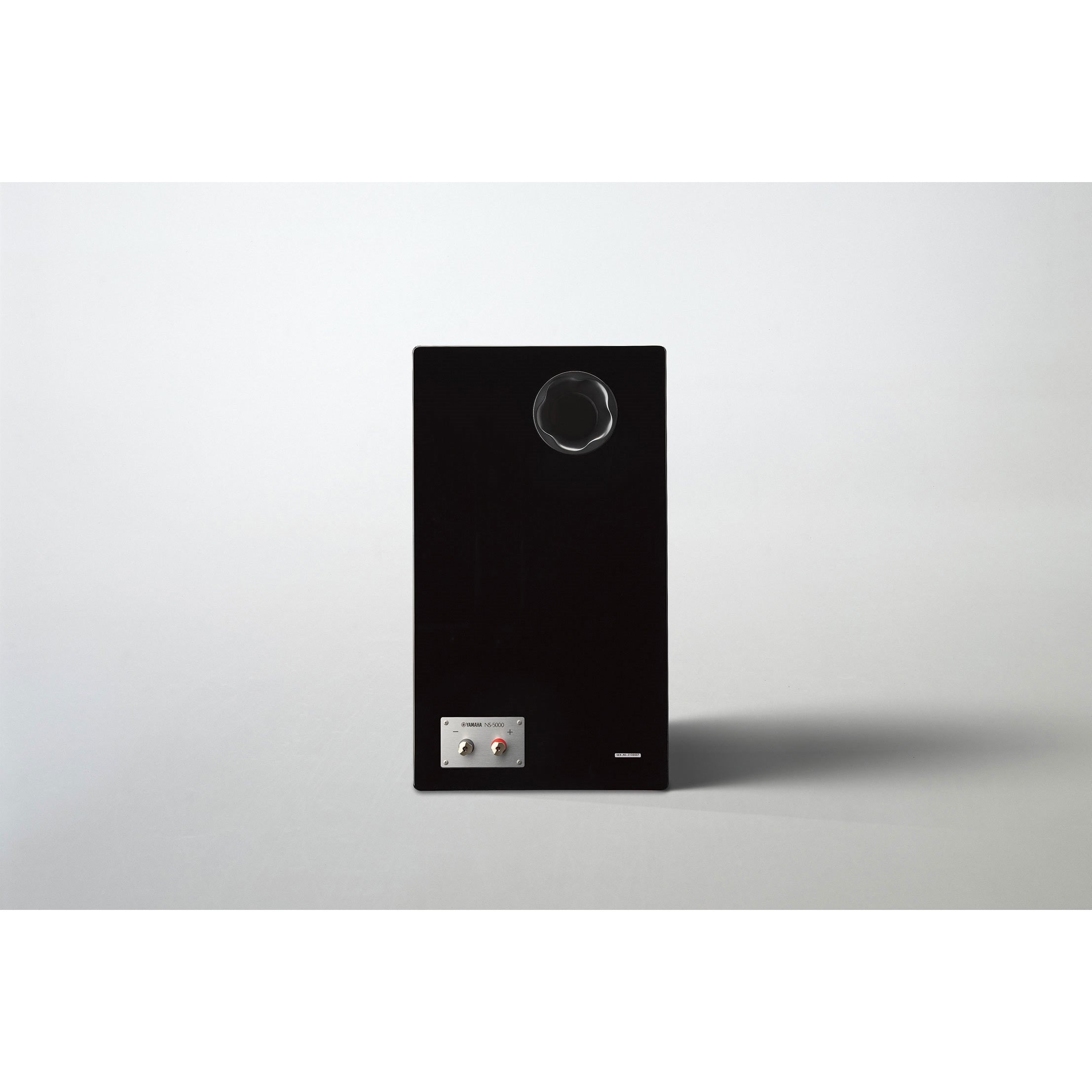 NS-5000 - Overview - Speaker Systems - Audio & Visual - Products ...