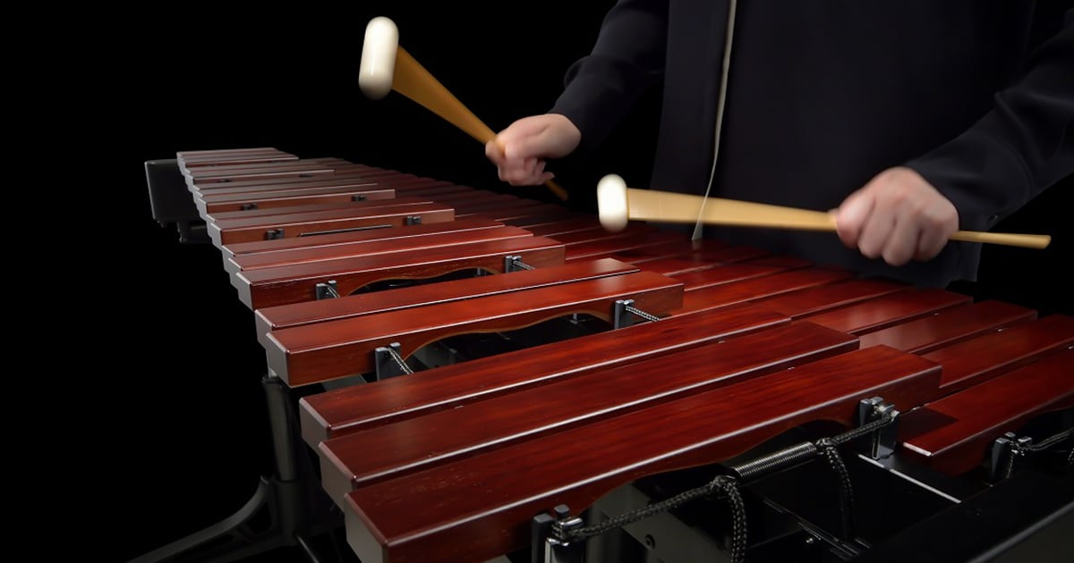YX2035PR - Overview - Xylophones - Percussion - Musical Instruments ...